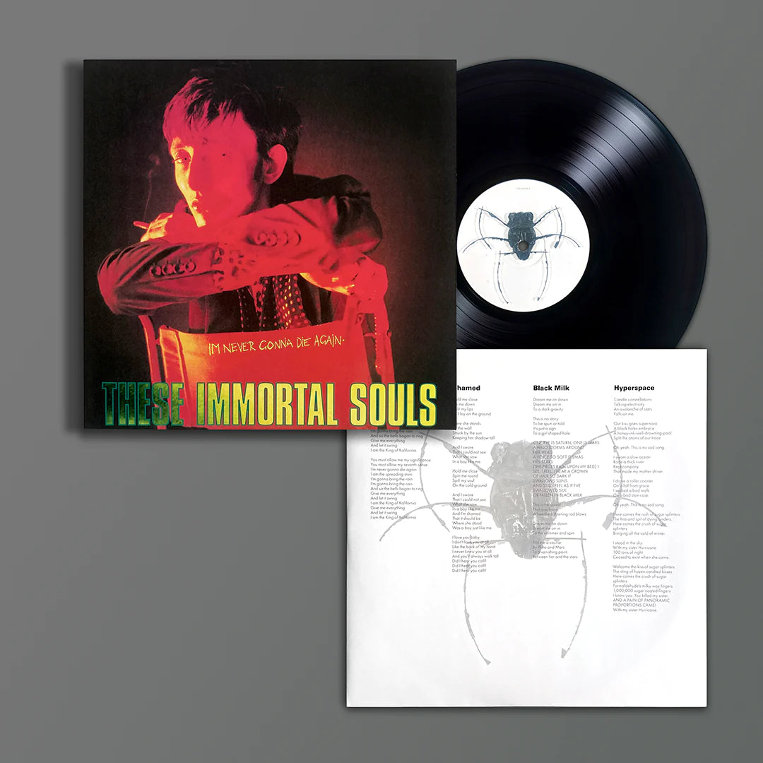 These Immortal Souls - I'm Never Gonna Die Again [Vinyl] – Rocking ...