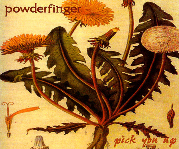Powderfinger - Pick You Up [CD Single] [Second Hand] – Rocking Horse ...