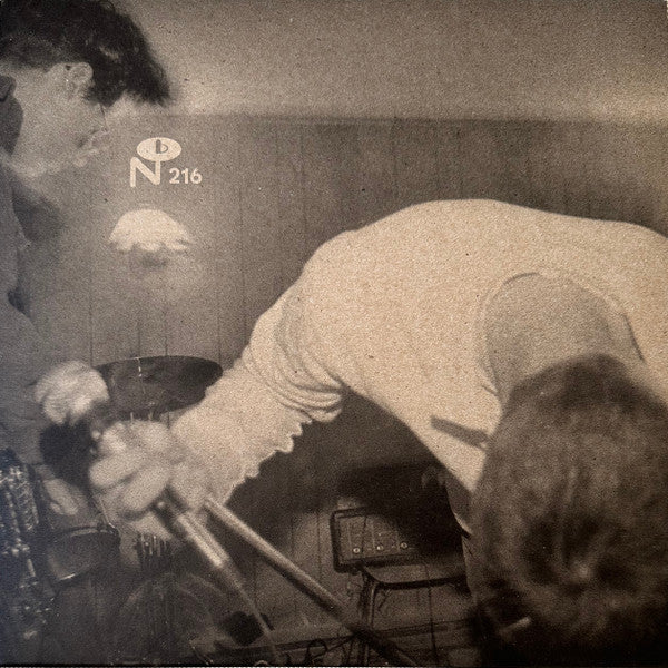 Native Nod - This Can't Exist [Vinyl] – Rocking Horse Records